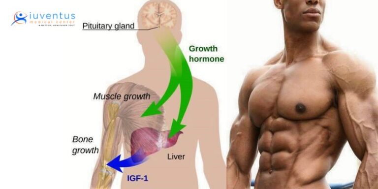 10 Benefits of Human Growth Hormone (HGH) - IUVENTUS MEDICAL CENTER